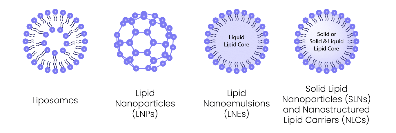 Lipid Nanoparticles for Drug Delivery: The Problem With Lipid-Based ...