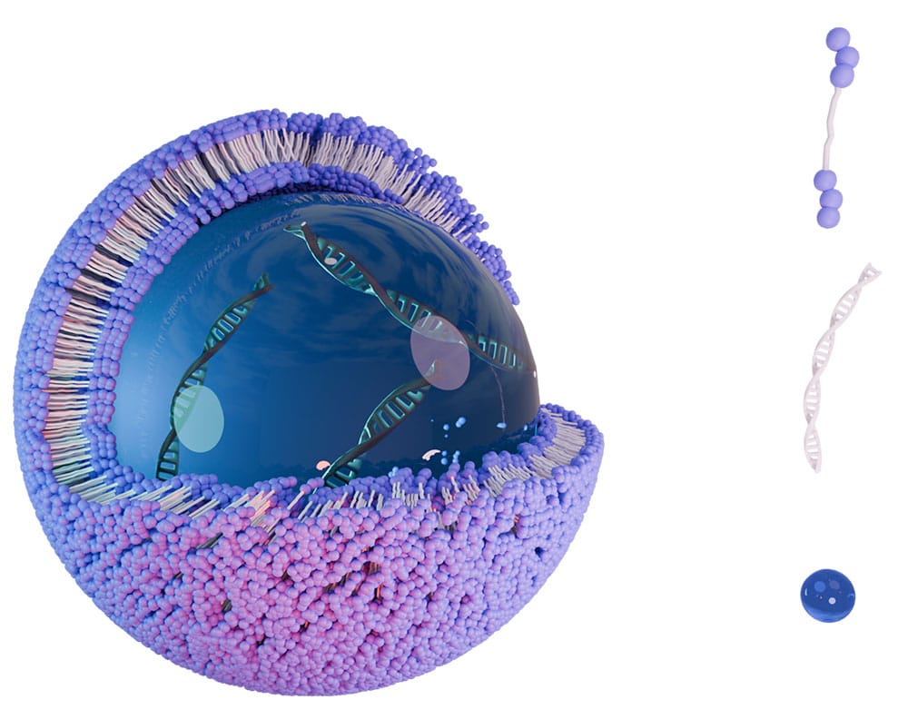 Peptide Nanocarrier Technology: BAPC and CAPC | Phoreus Biotech